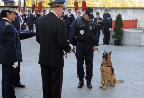 France hails police dog with 1,700 arrests under its collar | Inquirer News