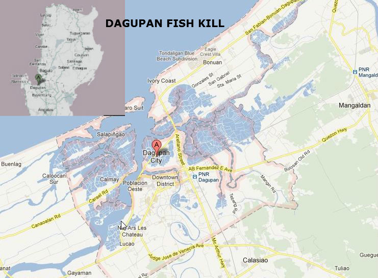 Fish kill hits 2 Dagupan ponds | Inquirer News