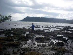 Saving Pasacao as summer capital | Inquirer News