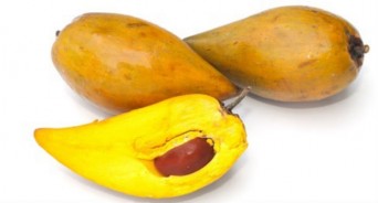 Tiesa fruit now a source of natural food coloring – DOST | Inquirer News