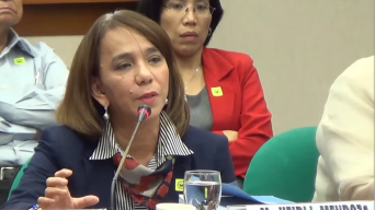 Speaking truth to power: Who is Heidi Mendoza? | Inquirer News