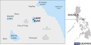 Keeping world’s smallest edible fish alive | Inquirer News