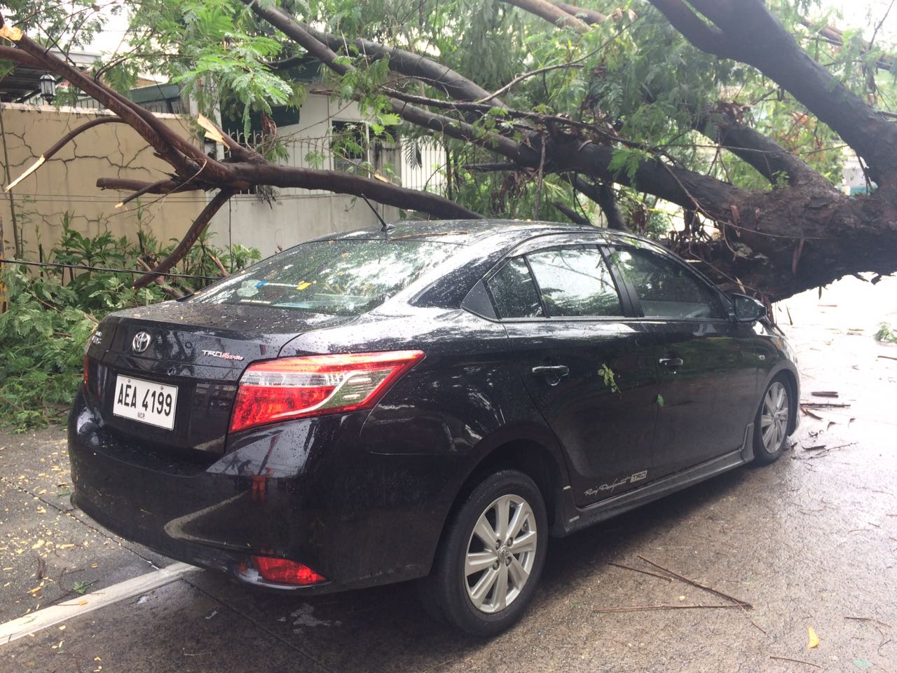 Palace suspends work, classes because of ‘Gorio’ | Inquirer News