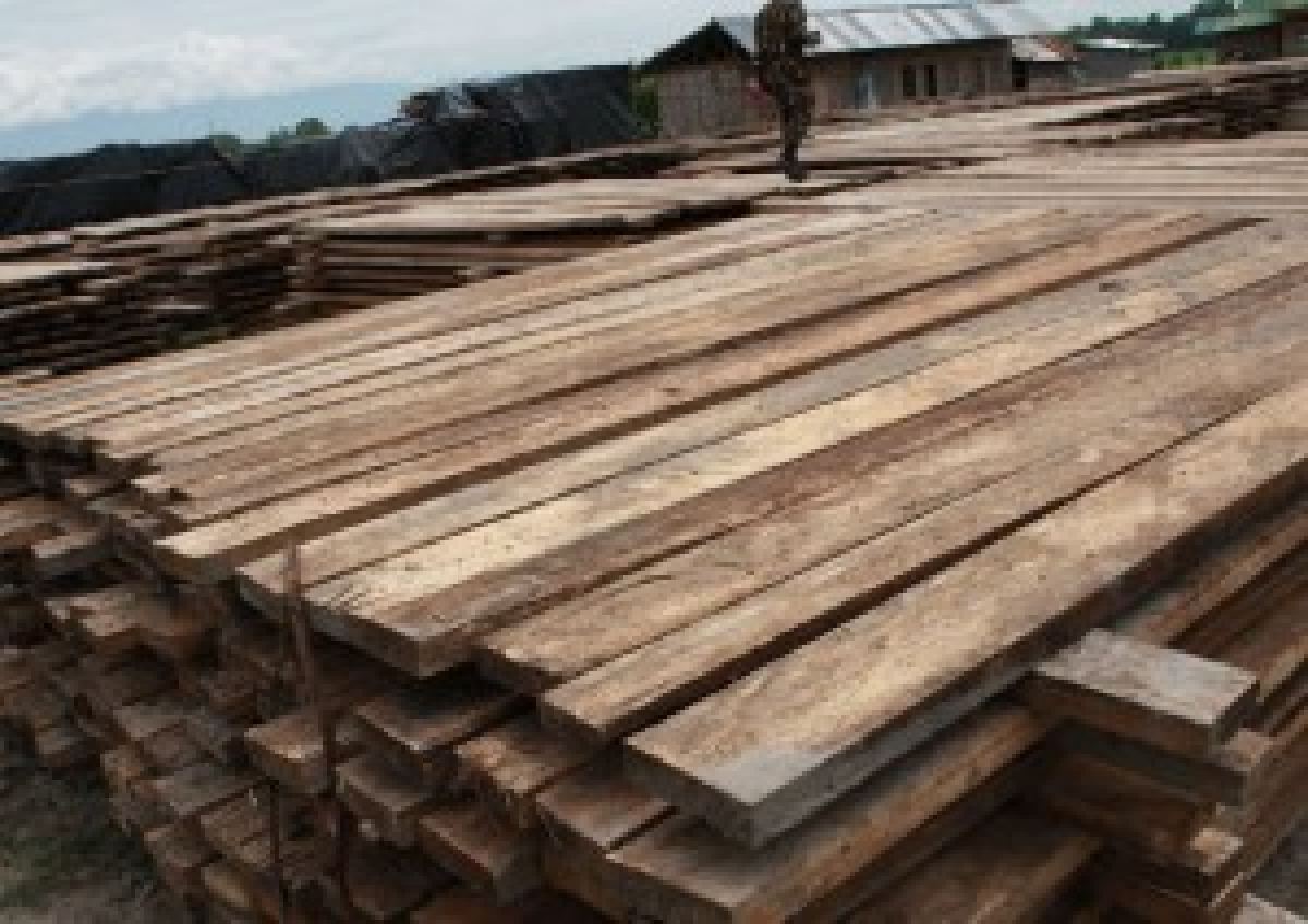 Cops nab 3, seize P150,000 ‘hot’ coco lumber in Quezon province ...
