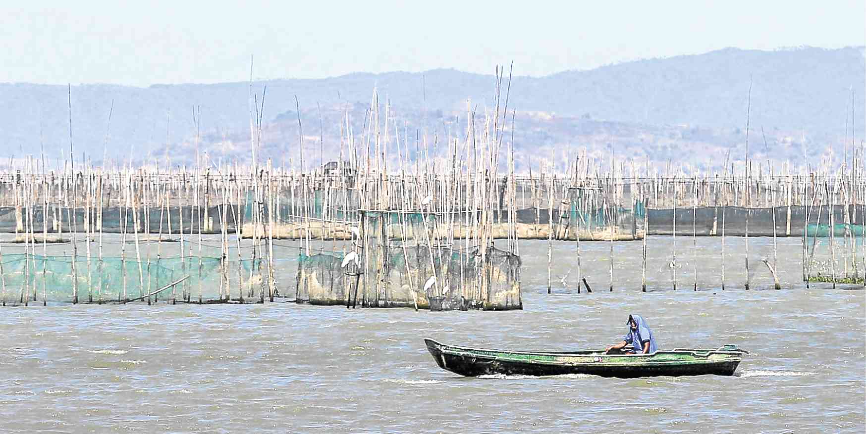 Court stops demolition of Laguna lake fishpens | Inquirer News