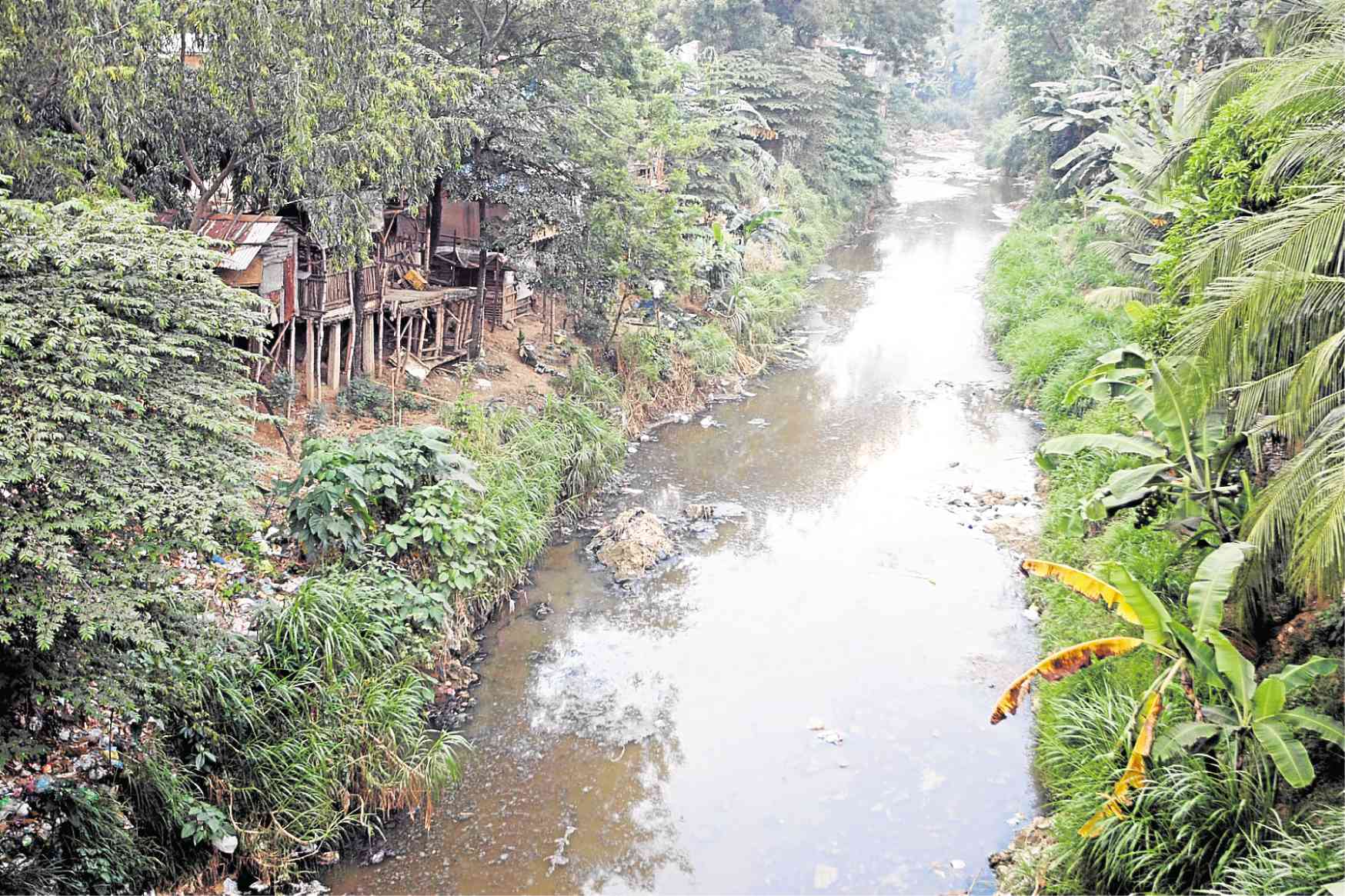 Gina offers help in reviving Mandaue river | Inquirer News