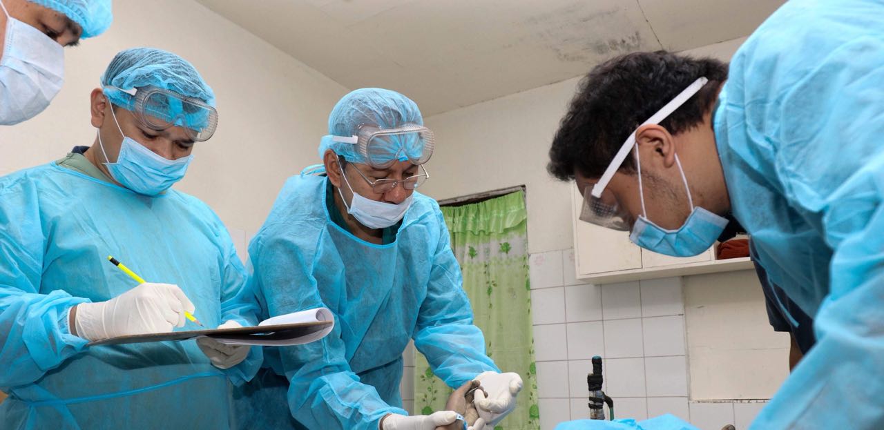 PAO expert appeals to hospitals as Dengvaxia probe continues | Inquirer ...