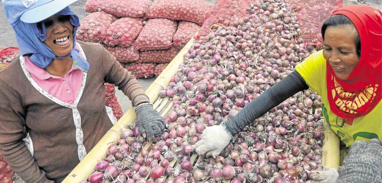 Onion-growing city loses P261M to armyworms | Inquirer News