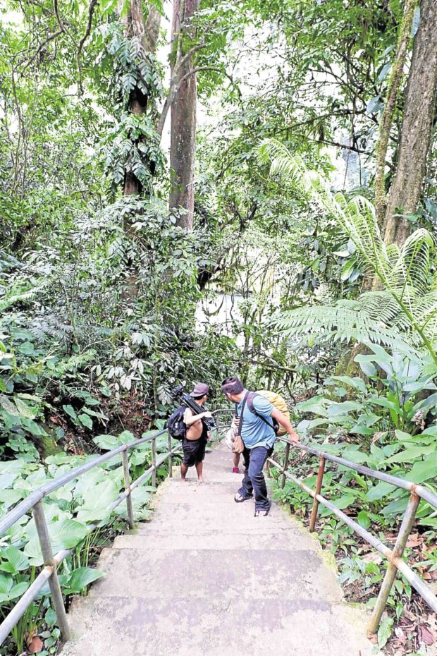 3-tiered waterfalls in the wild forest | Inquirer News