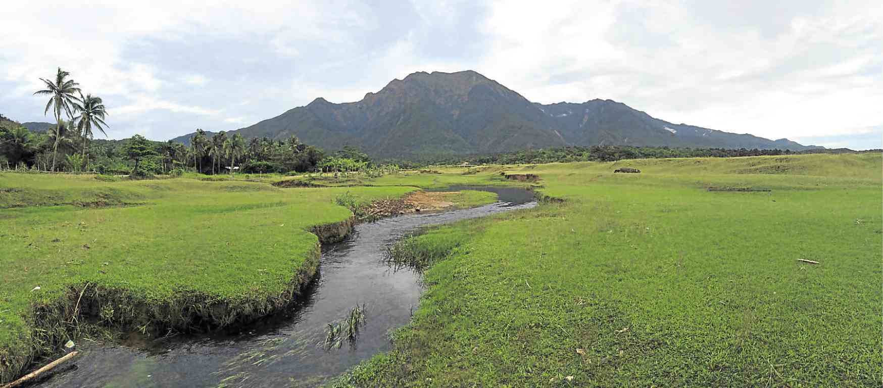 DPWH stops road clearing within Romblon protected area | Inquirer News