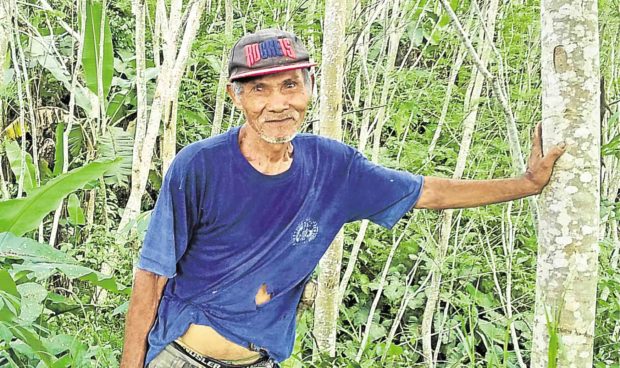 In Agusan del Sur tree farms, a wait is worth millions | Inquirer News
