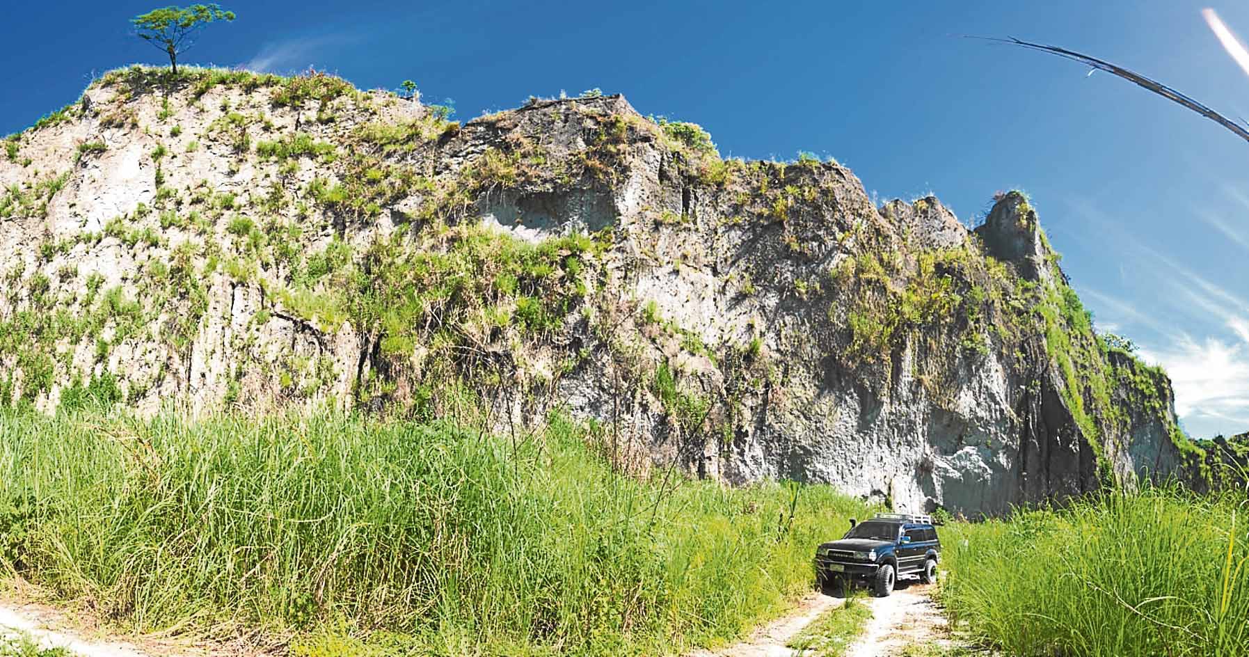 27 years after eruption: Reviving forests ravaged by Mt. Pinatubo ...