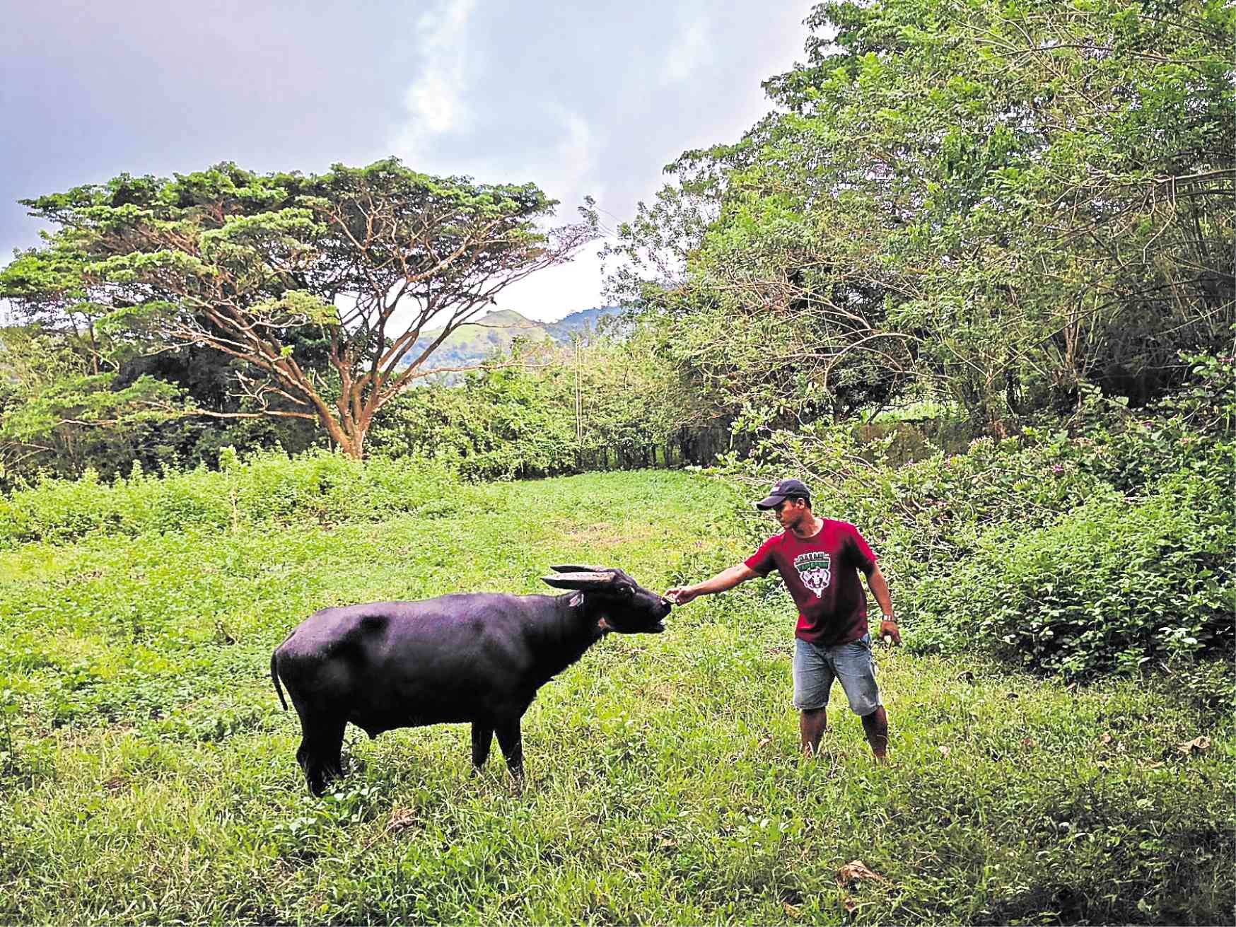 Close encounter with Kalibasib | Inquirer News