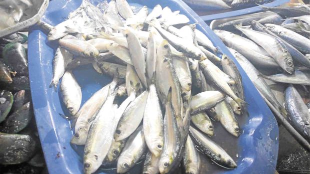 DOH to public: Don't buy, eat fish from Taal Lake, Batangas | Inquirer News