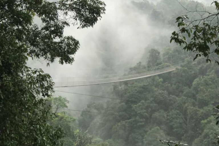 'Southeast Asia’s longest suspension bridge' opens in Indonesia ...