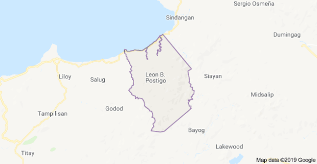 Dead dolphin found on shore of Zamboanga del Norte town | Inquirer News