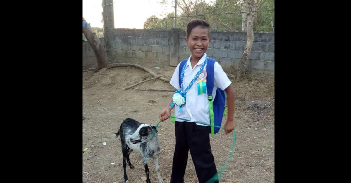Boy from Ilocos Norte gets wish of goat as graduation gift | Inquirer News