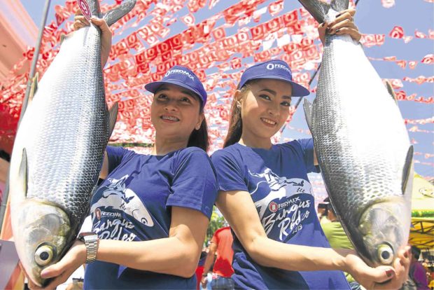 Heaviest, longest ‘bangus’ stars of Dagupan festival | Inquirer News