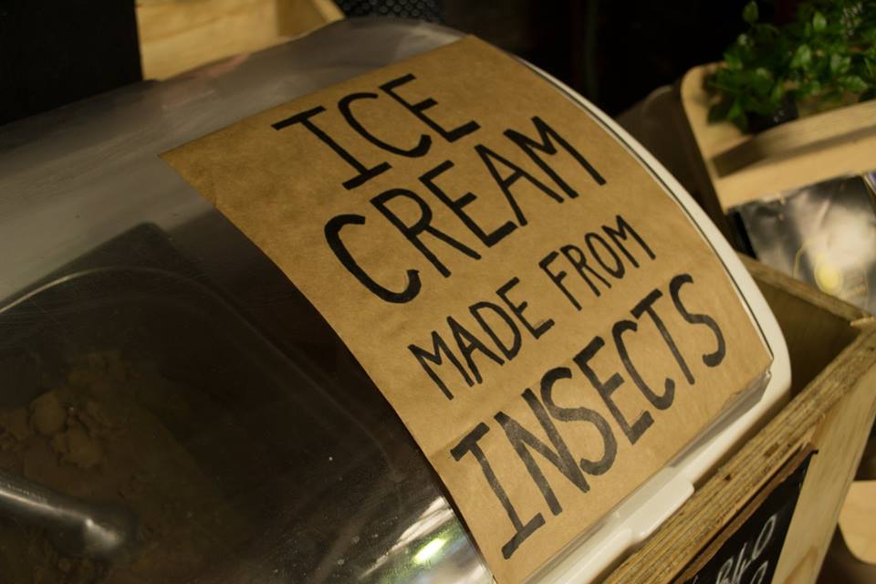 ‘Maggot ice cream’ claims to be ‘protein-rich, eco-friendly’ | Inquirer ...