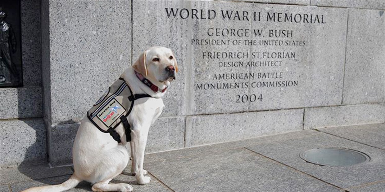 Service dog of George H. W. Bush honors his memory | Inquirer News