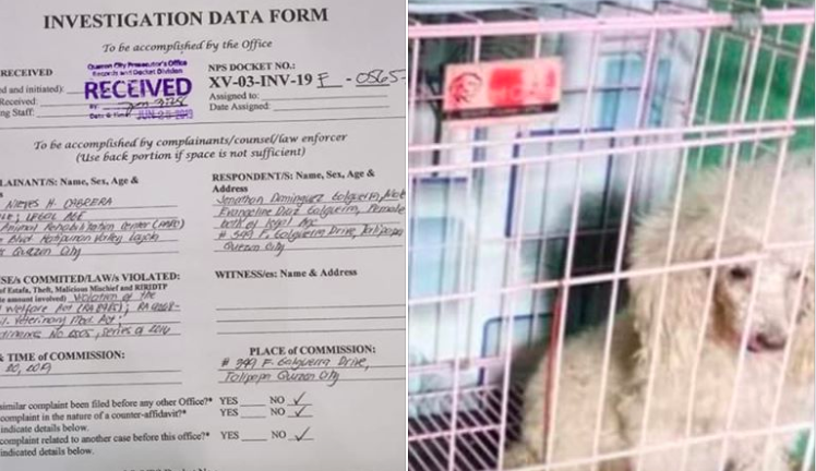 PAWS files animal cruelty complaint vs couple behind DIY dog operation ...