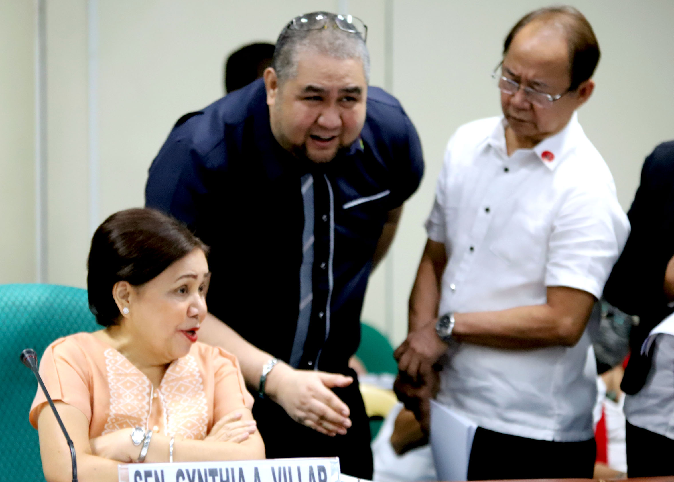 Villar claims NFA campaigned against her senatorial bid | Inquirer News