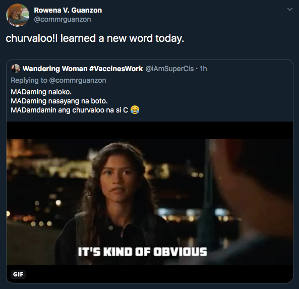 Guanzon calls Cardema ‘overaged trying hard name-dropper’ | Inquirer News