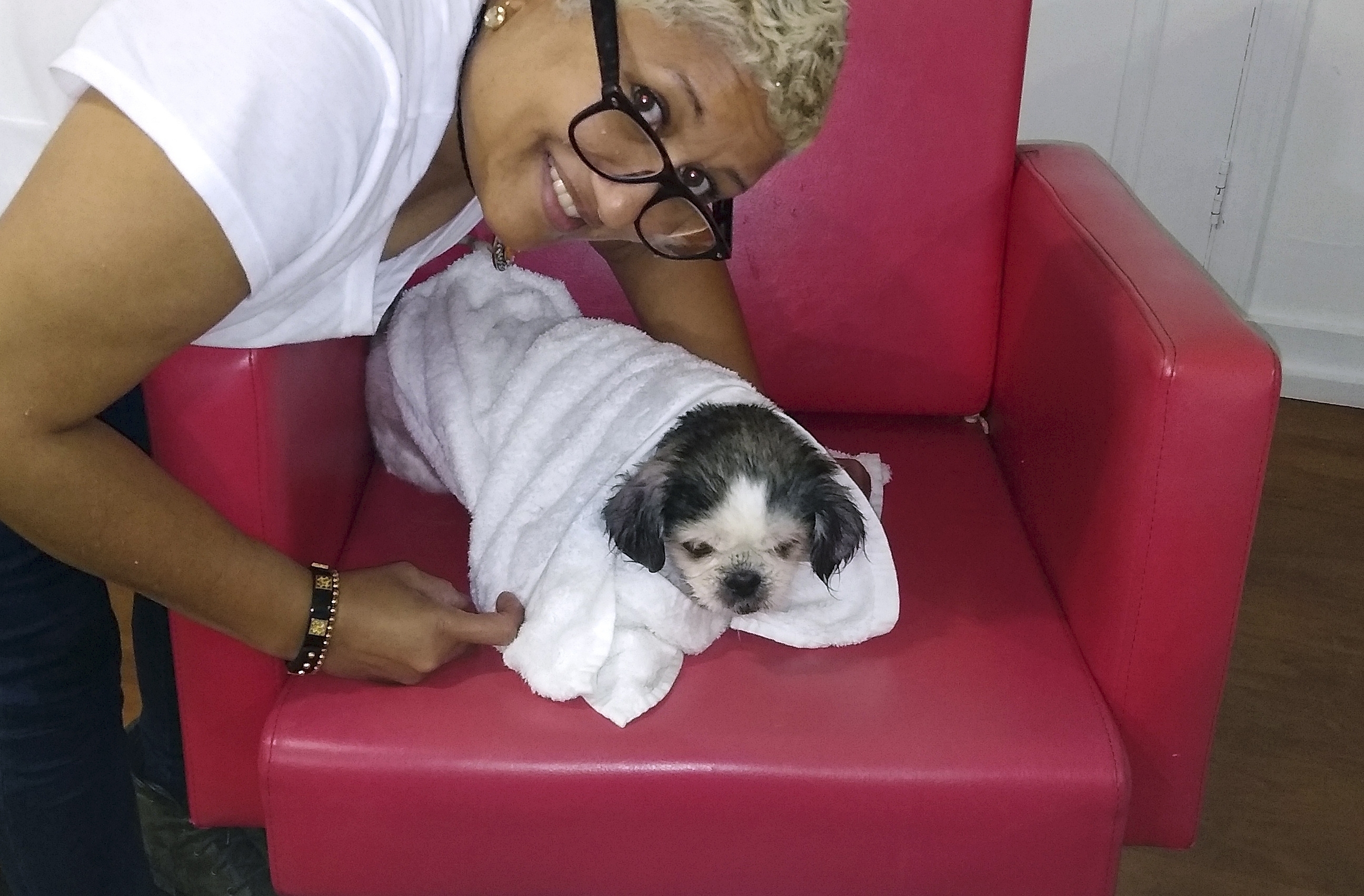 Dog turns up a year after gas explosions| Inquirer News