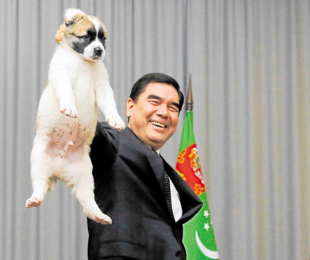 Turkmenistan’s top dog breed rivals horse for national affection ...