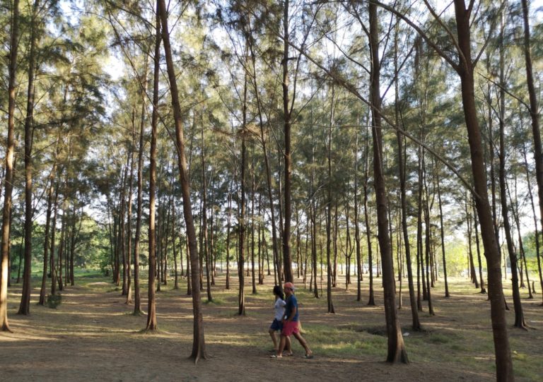 Nature retreat in Agoo ecopark | Inquirer News
