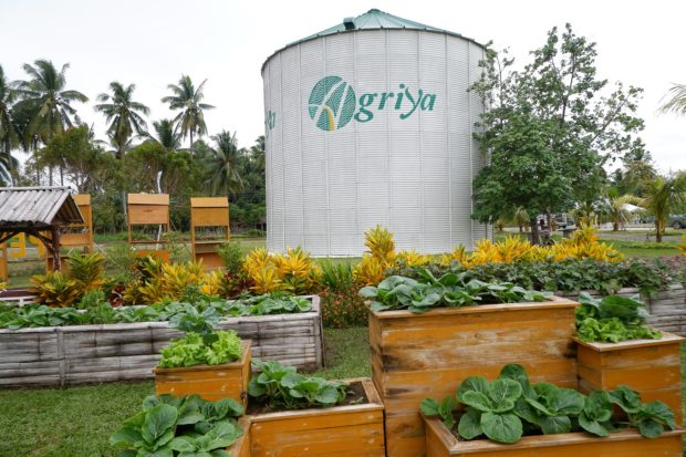 Davao del Norte showcases farm for 'naturetainment' | Inquirer News
