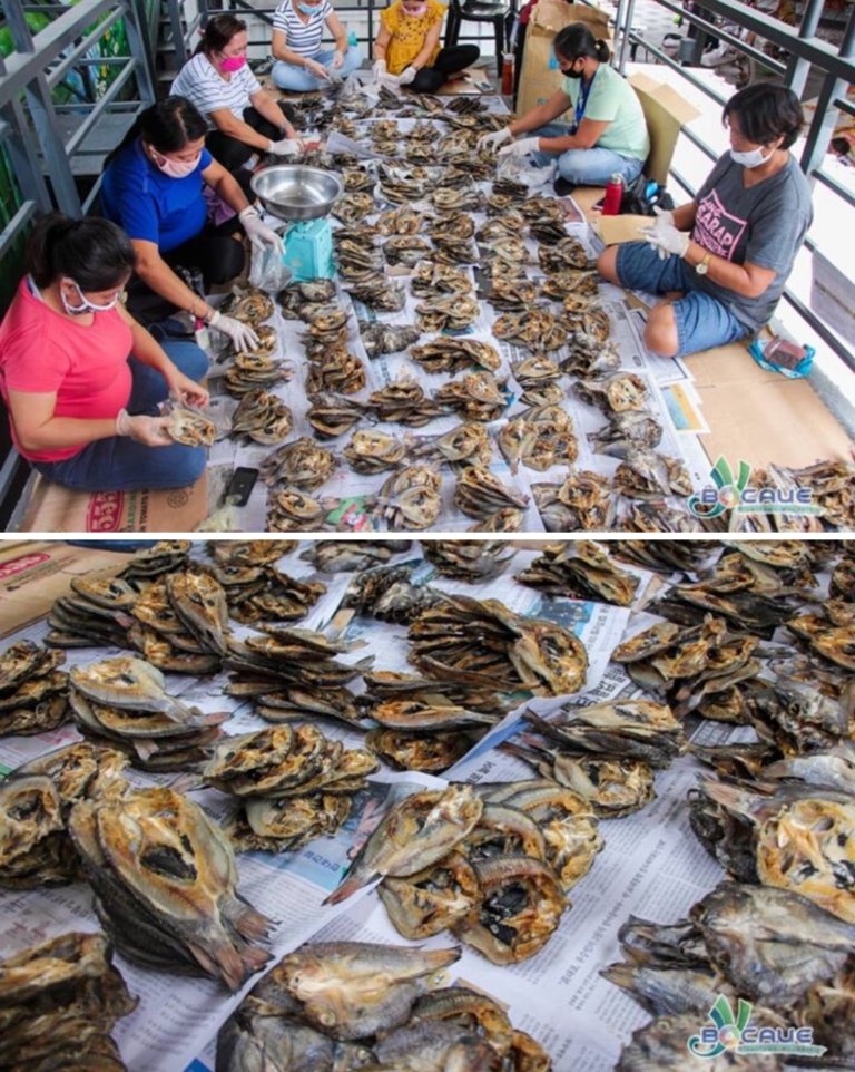Bocaue LGU buys fresh produce from Cordillera farmers, fish vendors for ...