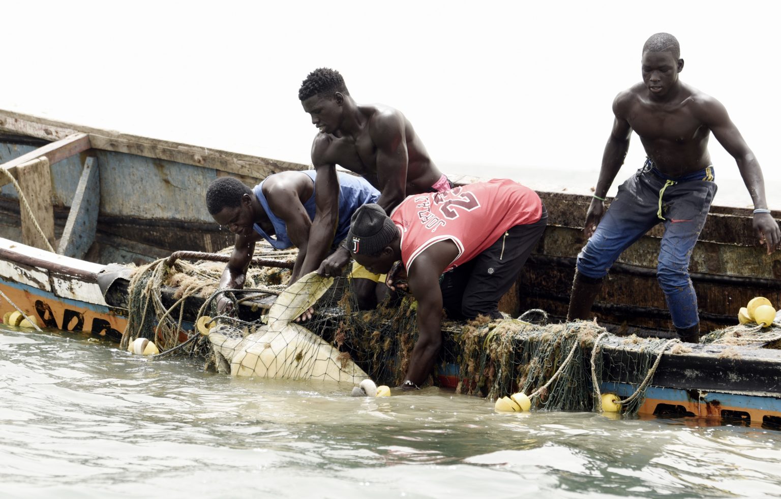 Sea turtles find protection from Senegal fishermen | Inquirer News