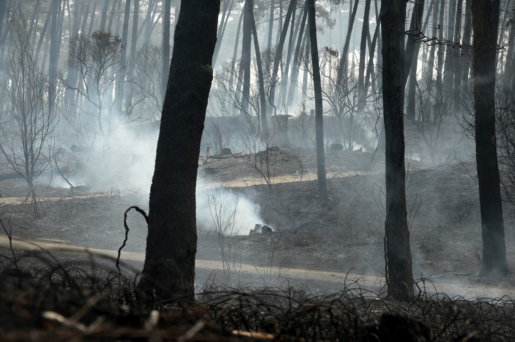 Forest fire in southern France triggers evacuations | Inquirer News
