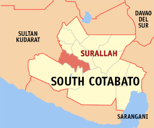 Alleged leader of Islamic State-inspired group, brother slain in South ...
