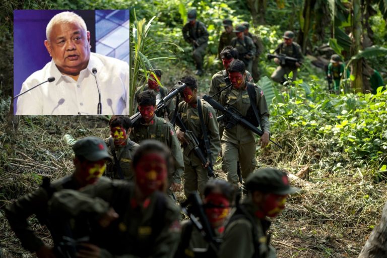 ATC 'designates' CPP-NPA as terrorist organizations | Inquirer News