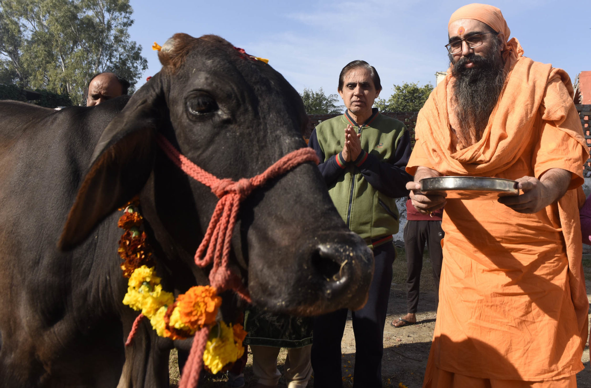 Indian man arrested over cow vigilante double murder | Inquirer News