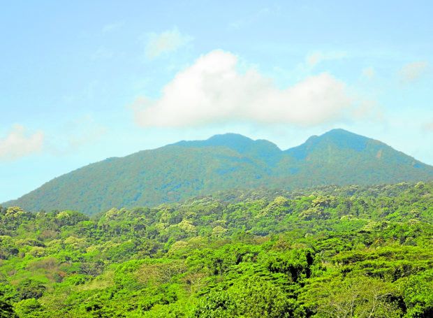 Fast Facts: Mt. Makiling Forest Reserve | Inquirer News