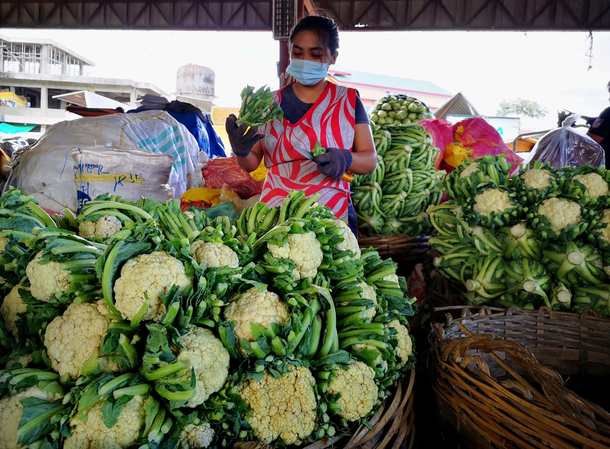 Prices of Benguet veggies unstable | Inquirer News