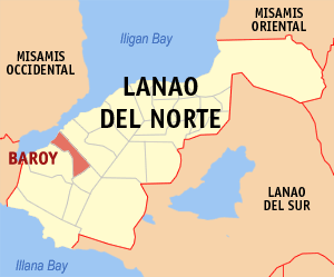Missing teenager at sea found dead at coastal village of Lanao del ...