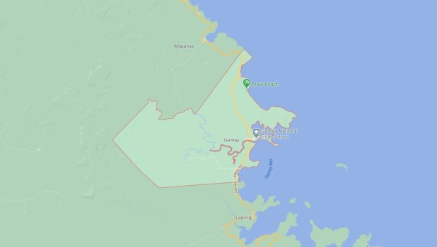 Northern Samar mayor dismissed for nepotism | Inquirer News