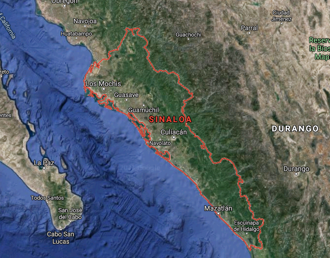 Police chief murdered in Mexico's Sinaloa state | Inquirer News