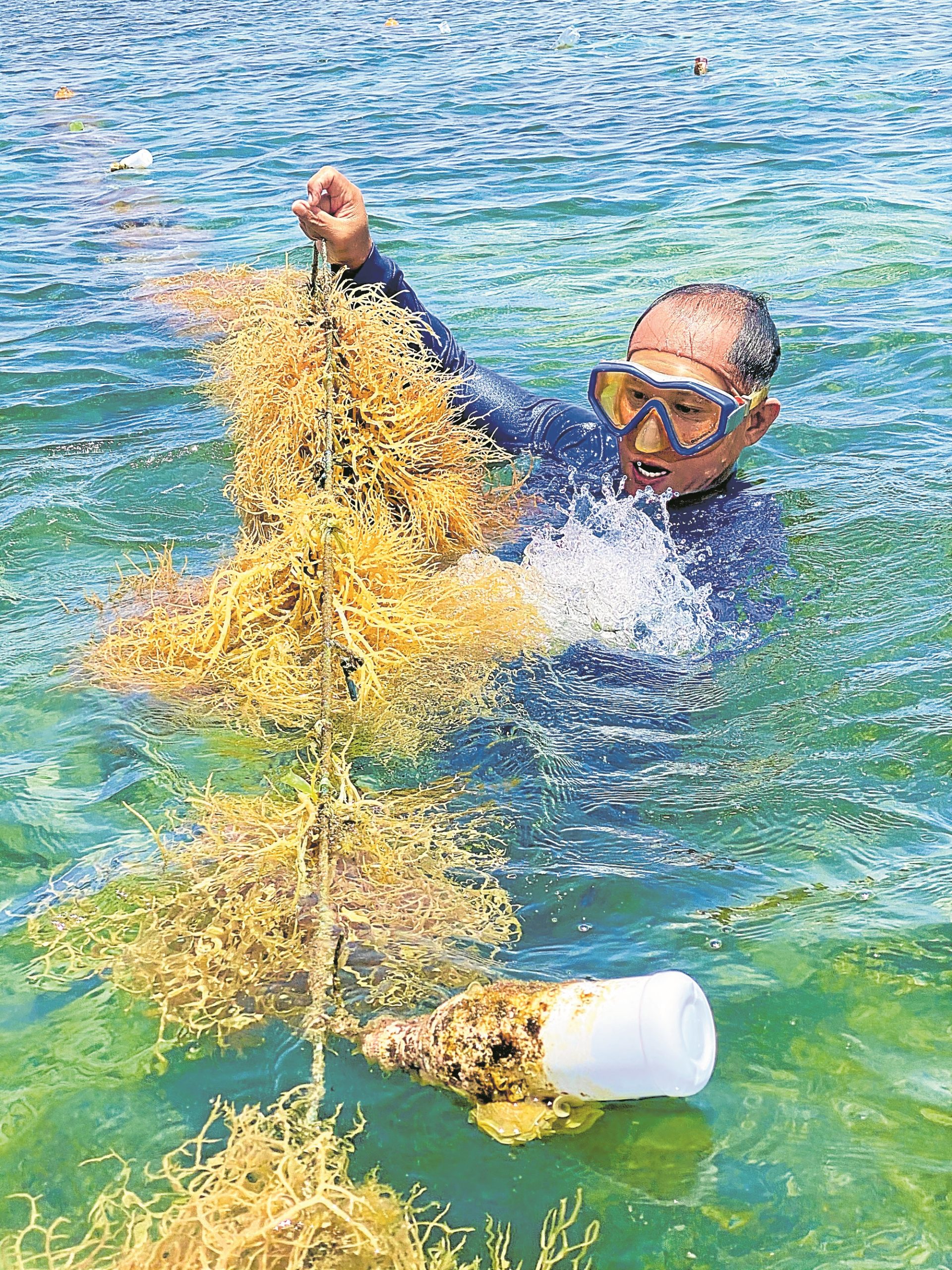 ‘Sea ranching’ sustains La Union fishers | Inquirer News