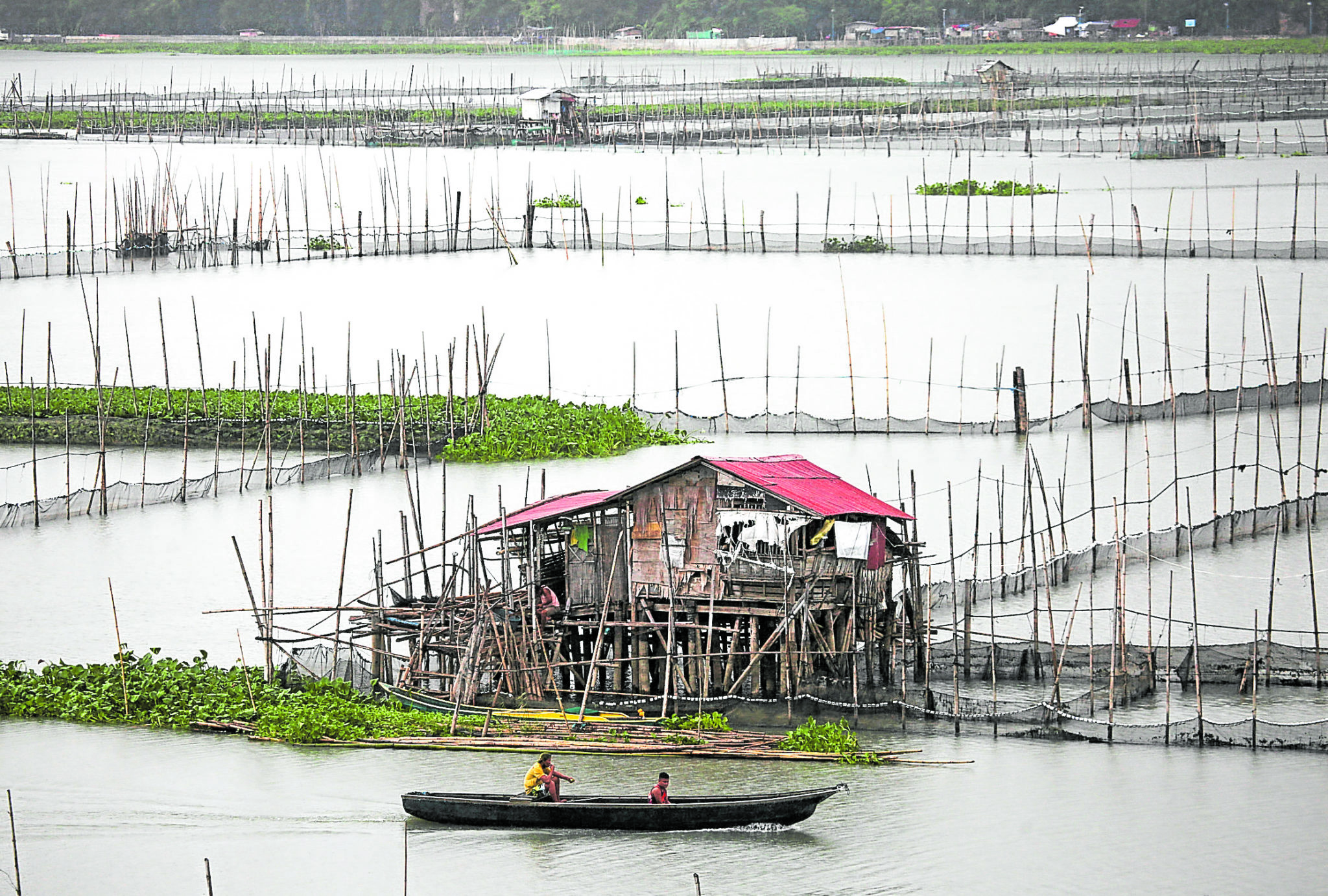 Program for Laguna de Bay good, but fishers feel forgotten | Inquirer News