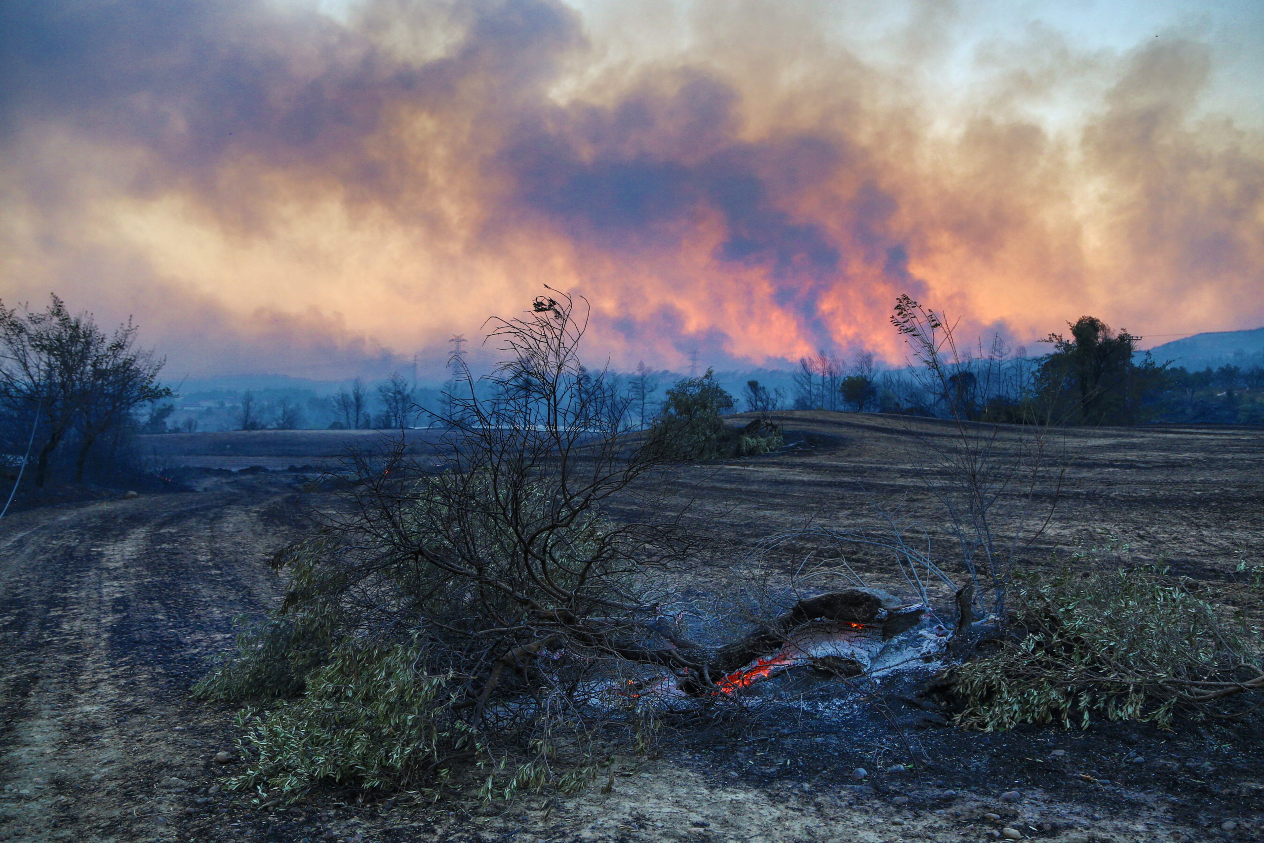 Residents flee as winds fan massive wildfire in southern Turkey ...