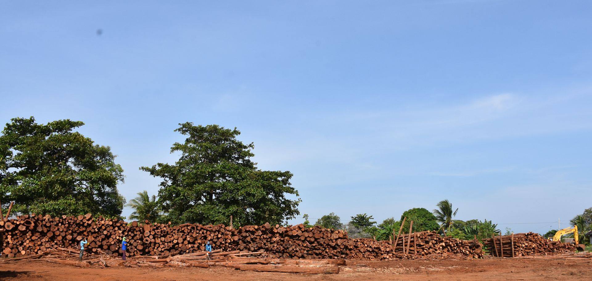 Mining company gets gov’t nod to resume Palawan operation | Inquirer News