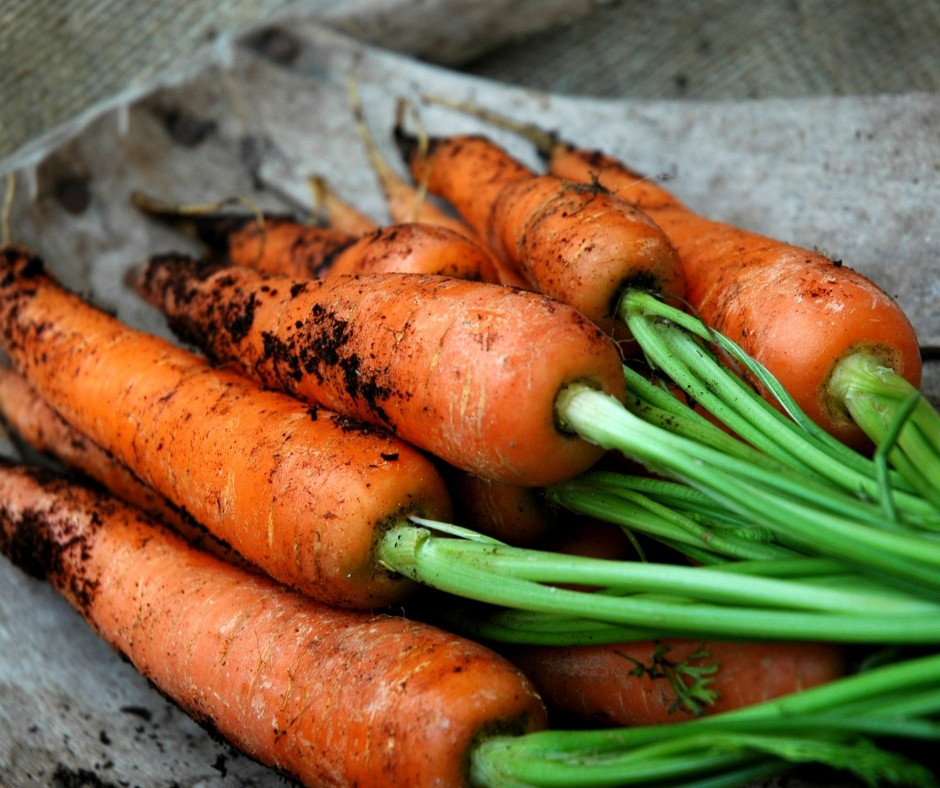 DA vows probe on smuggled carrots in PH market | Inquirer News