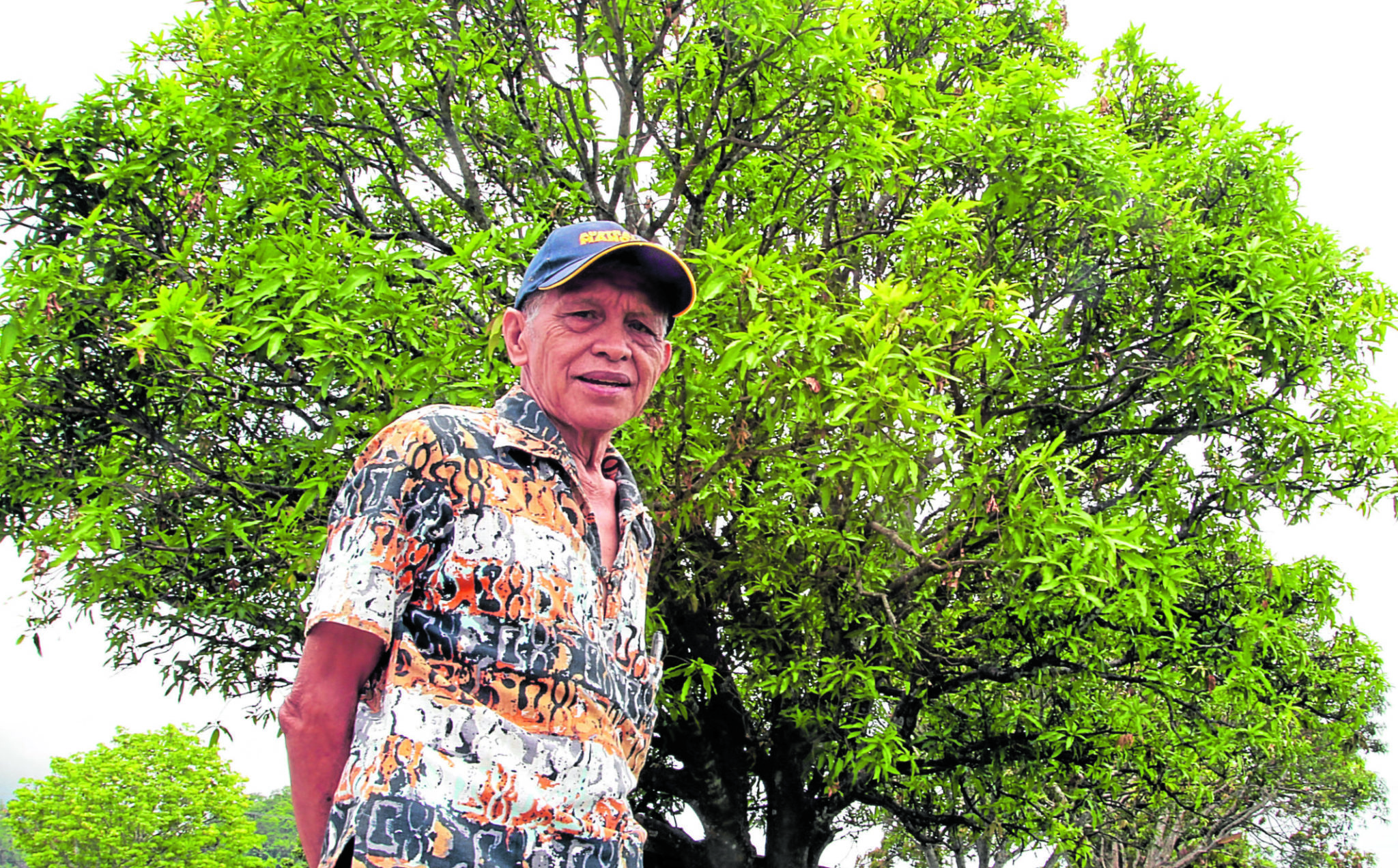 Barba leaves behind fruitful legacy for PH mango growers | Inquirer News