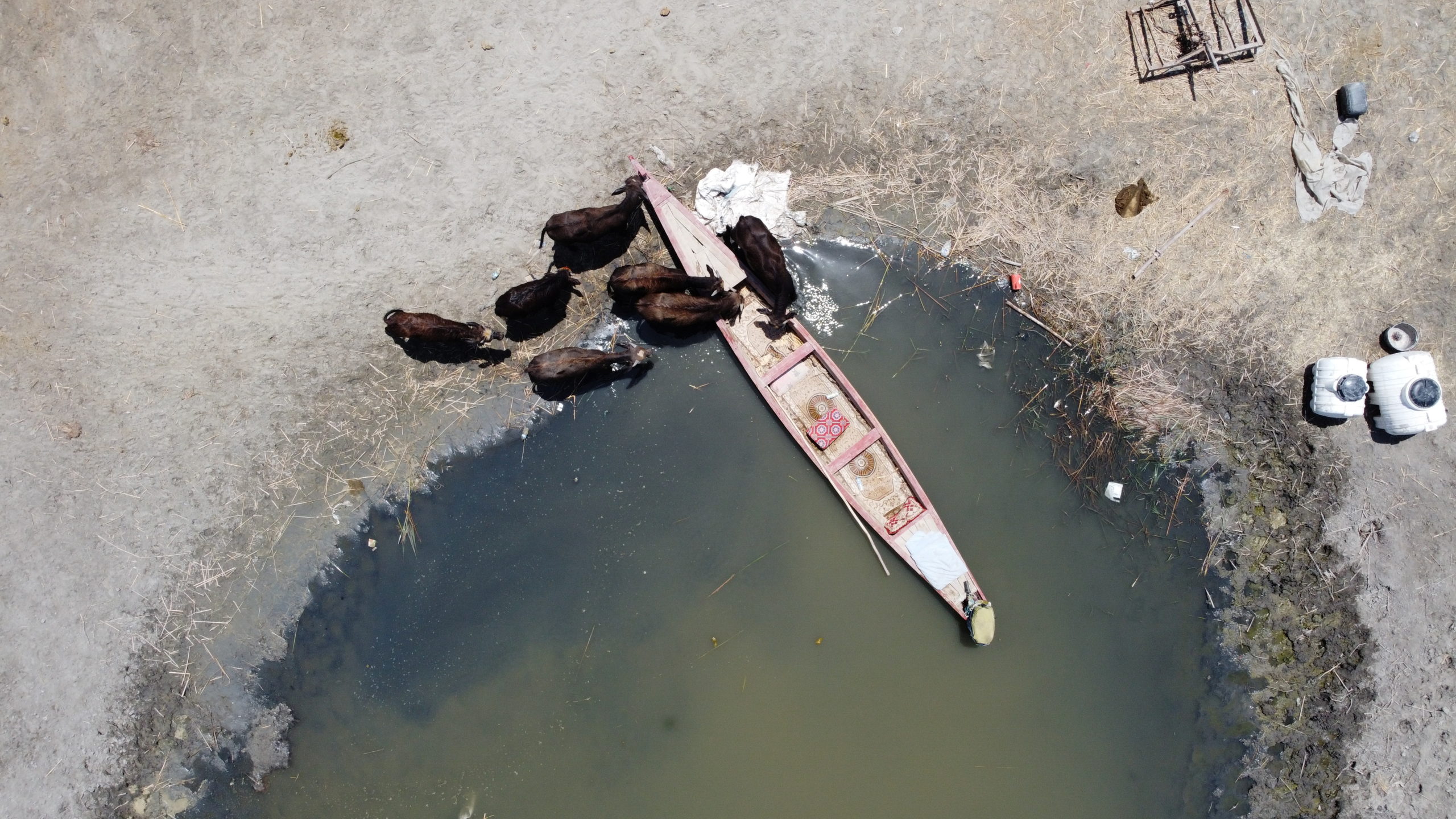 'Our whole life depends on water': Climate change, pollution and dams ...