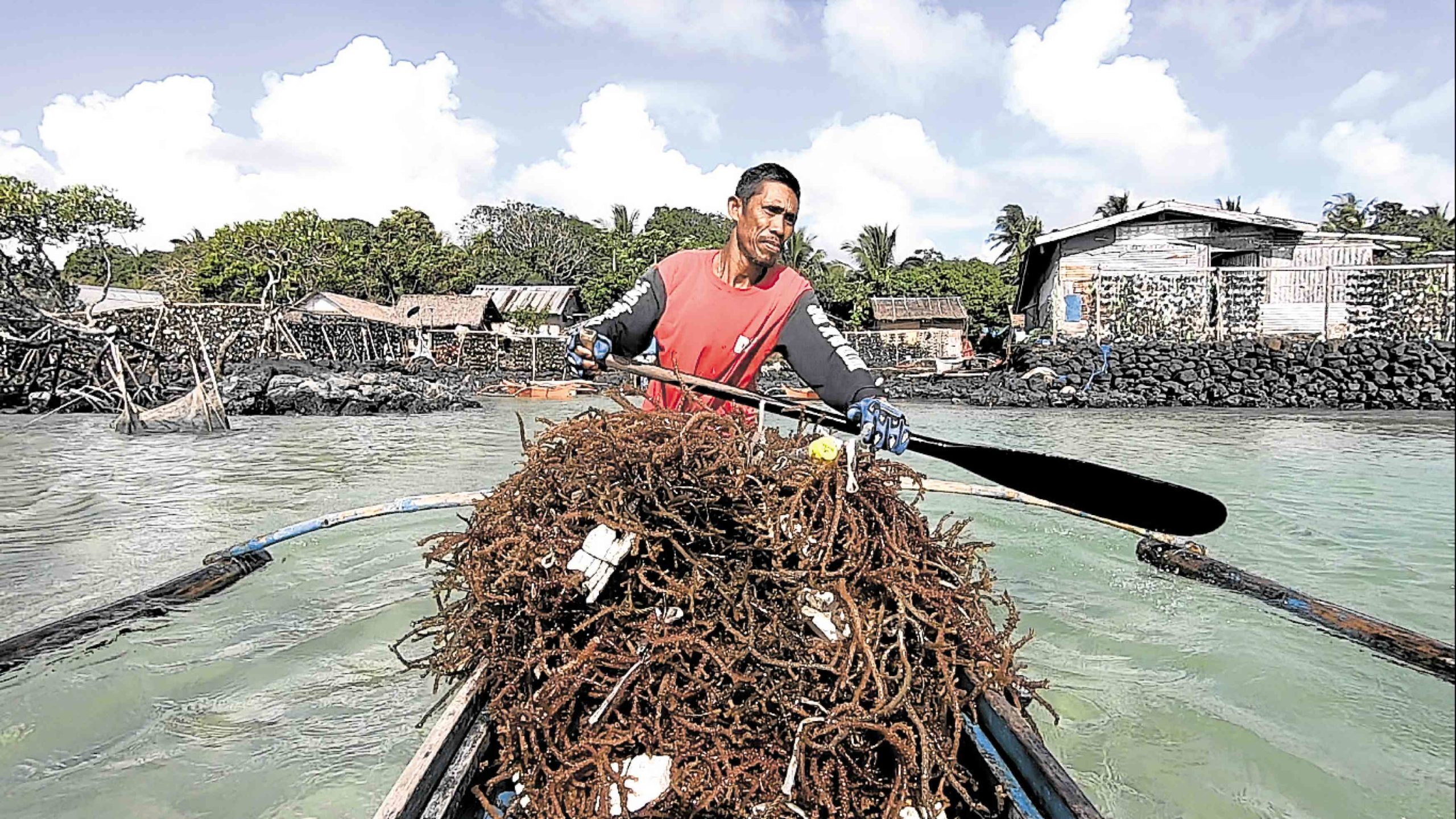 Palawan seaweed farmers cry for help | Inquirer News